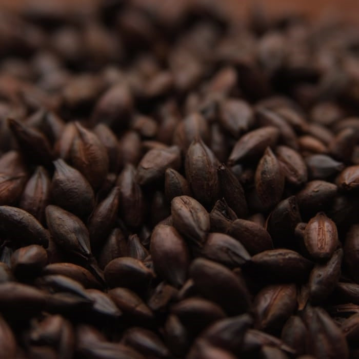 55lb Weyermann Carafa Special Type 2 Dehusked - Specialty Malt for Dar ...