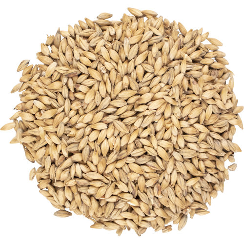 European 2-Row Pale Malt - 1 LB – HowdyBrewer