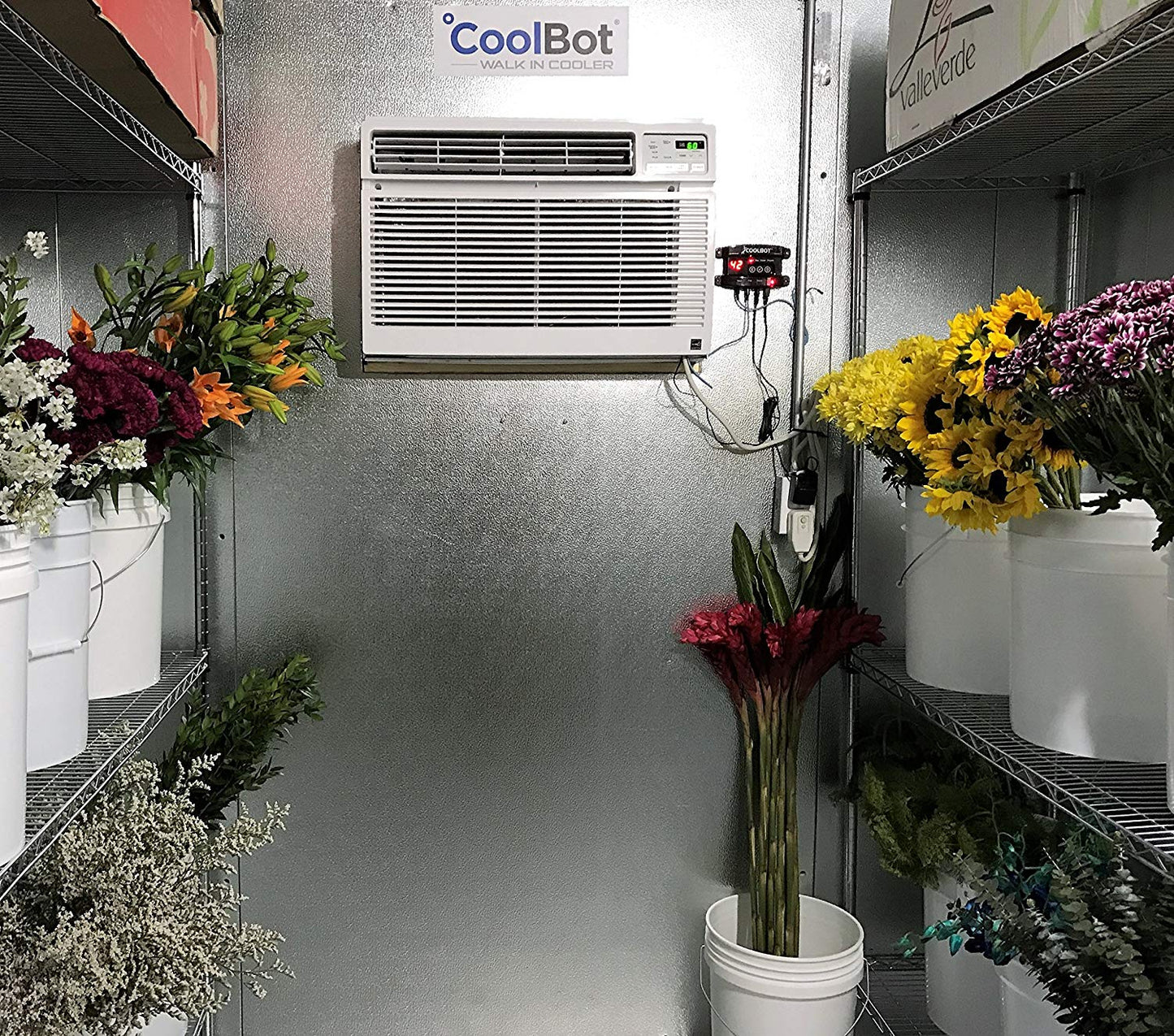 CoolBot Controller - In Stock & Free Shipping. – HowdyBrewer