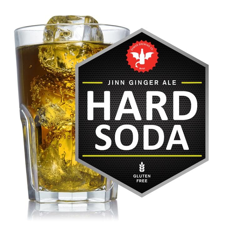 1 Gallon Jinn Ginger Ale Hard Soda Homebrew Recipe Kit – HowdyBrewer